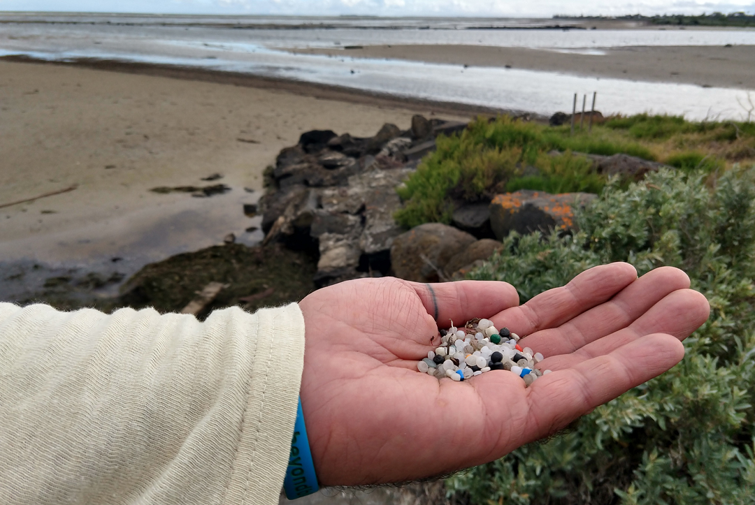 The Great Global Nurdle Hunt