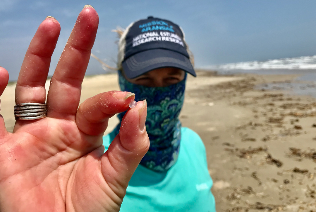 The Great Global Nurdle Hunt